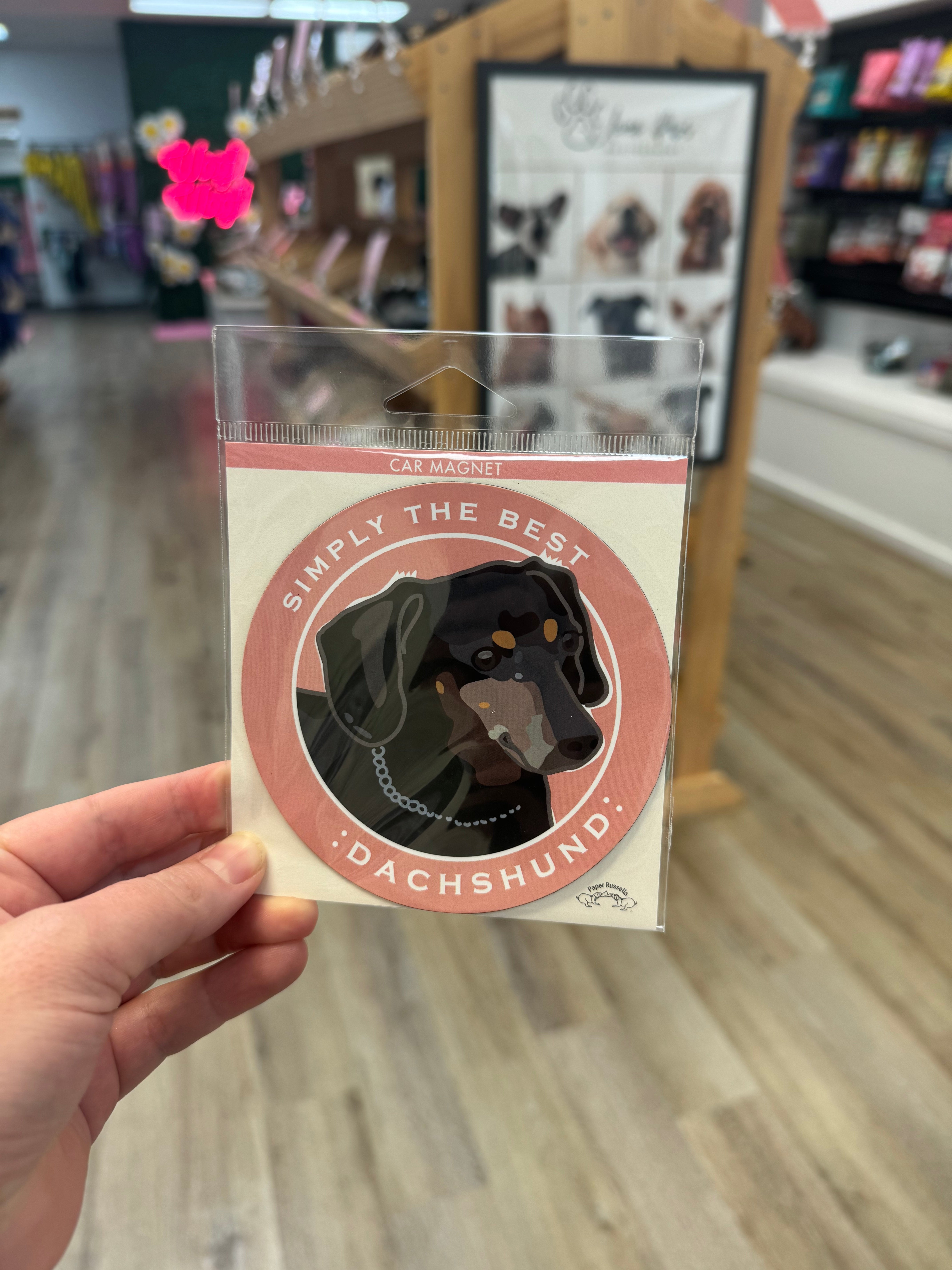 Car Magnets - Dachshund Black And Tan | The NW Dog
