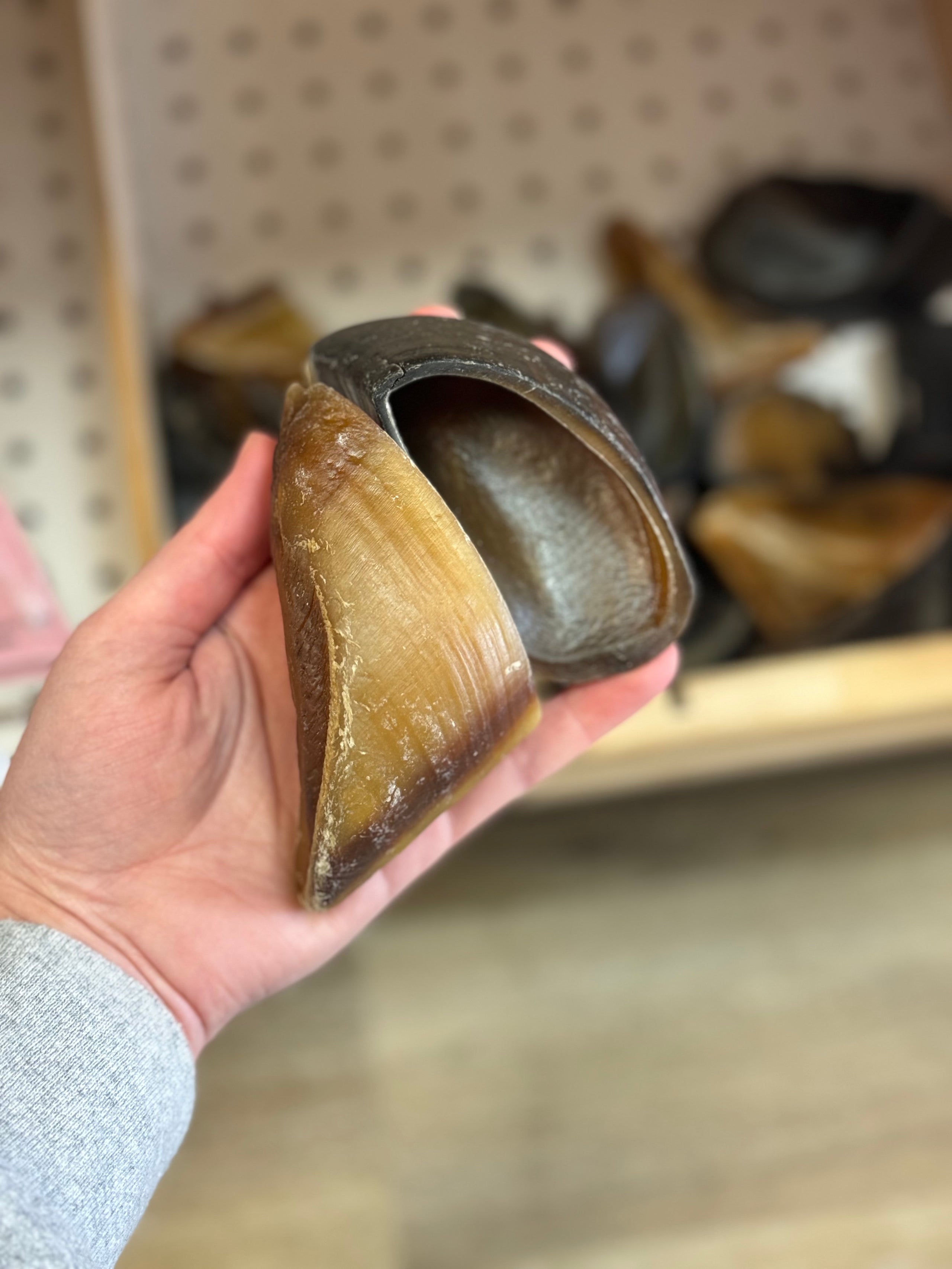 100% Beef Hooves Dog Chew | The NW Dog